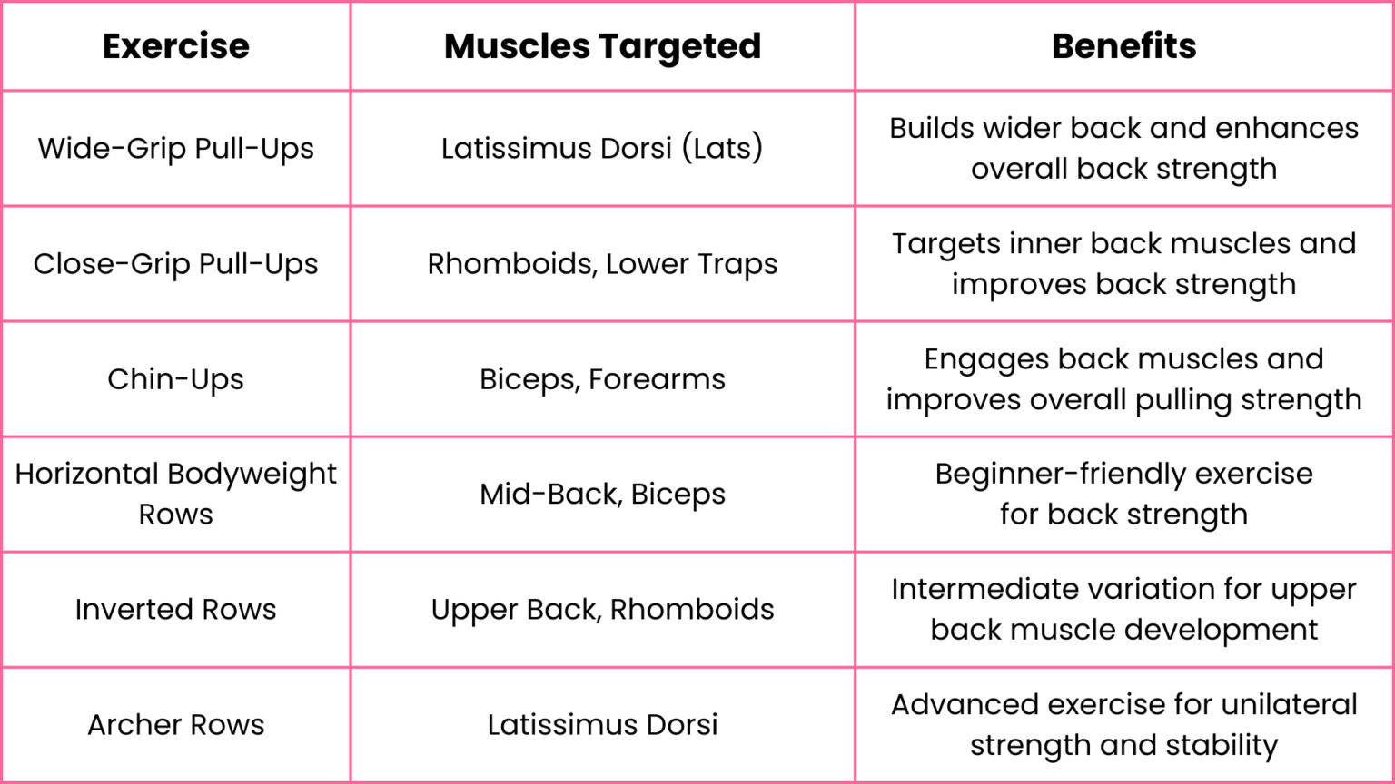 Best Calisthenics Back Exercises - Custom Curves | The Fitness Blog